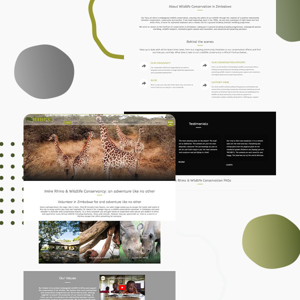 Imire Case Study | PPC and SEO Services from Maratopia